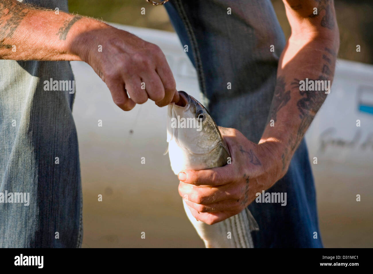 Remove hook from fish hi-res stock photography and images - Alamy