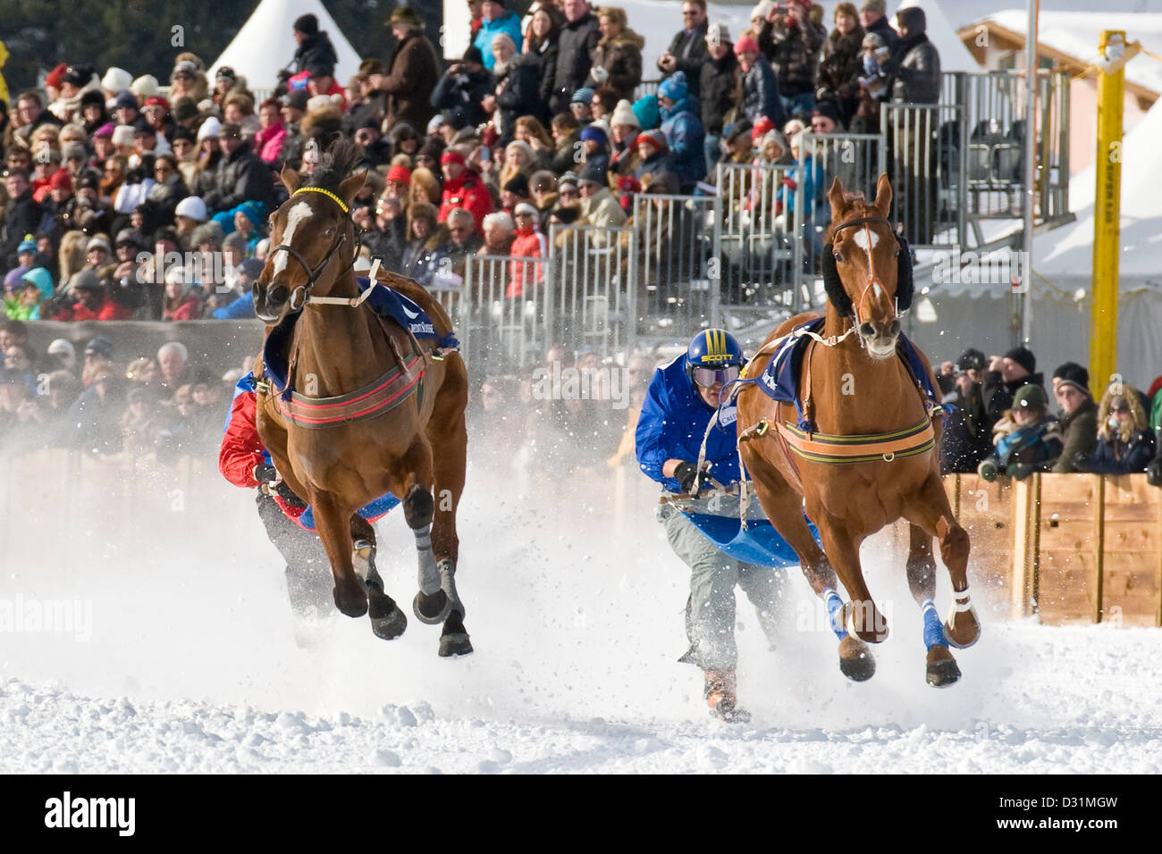 Switzerland, St. Moritz, White turf race Stock Photo - Alamy