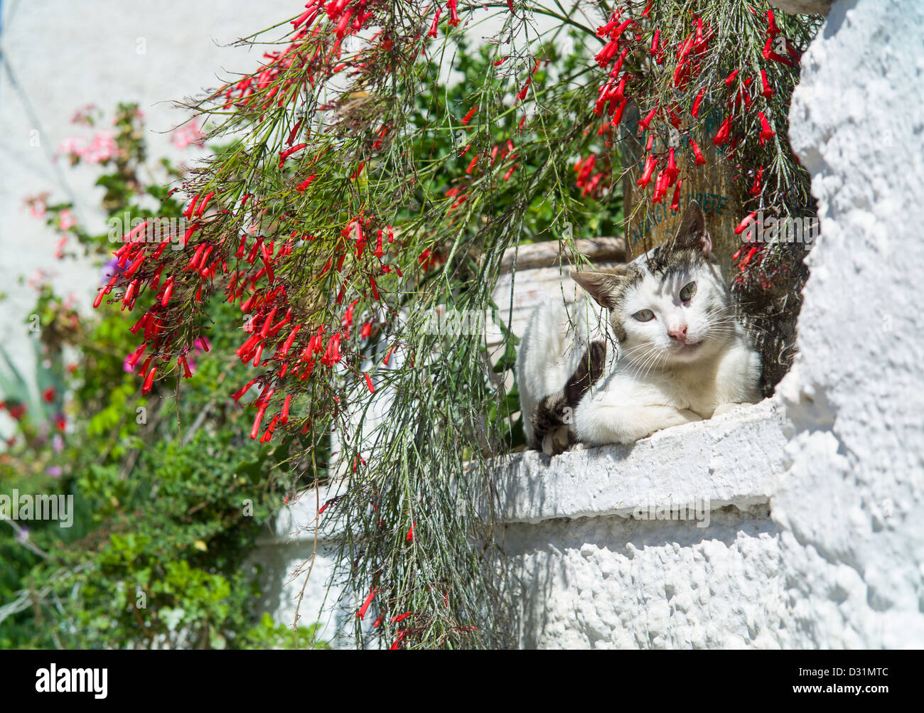 Gavalohori crete hi-res stock photography and images - Alamy