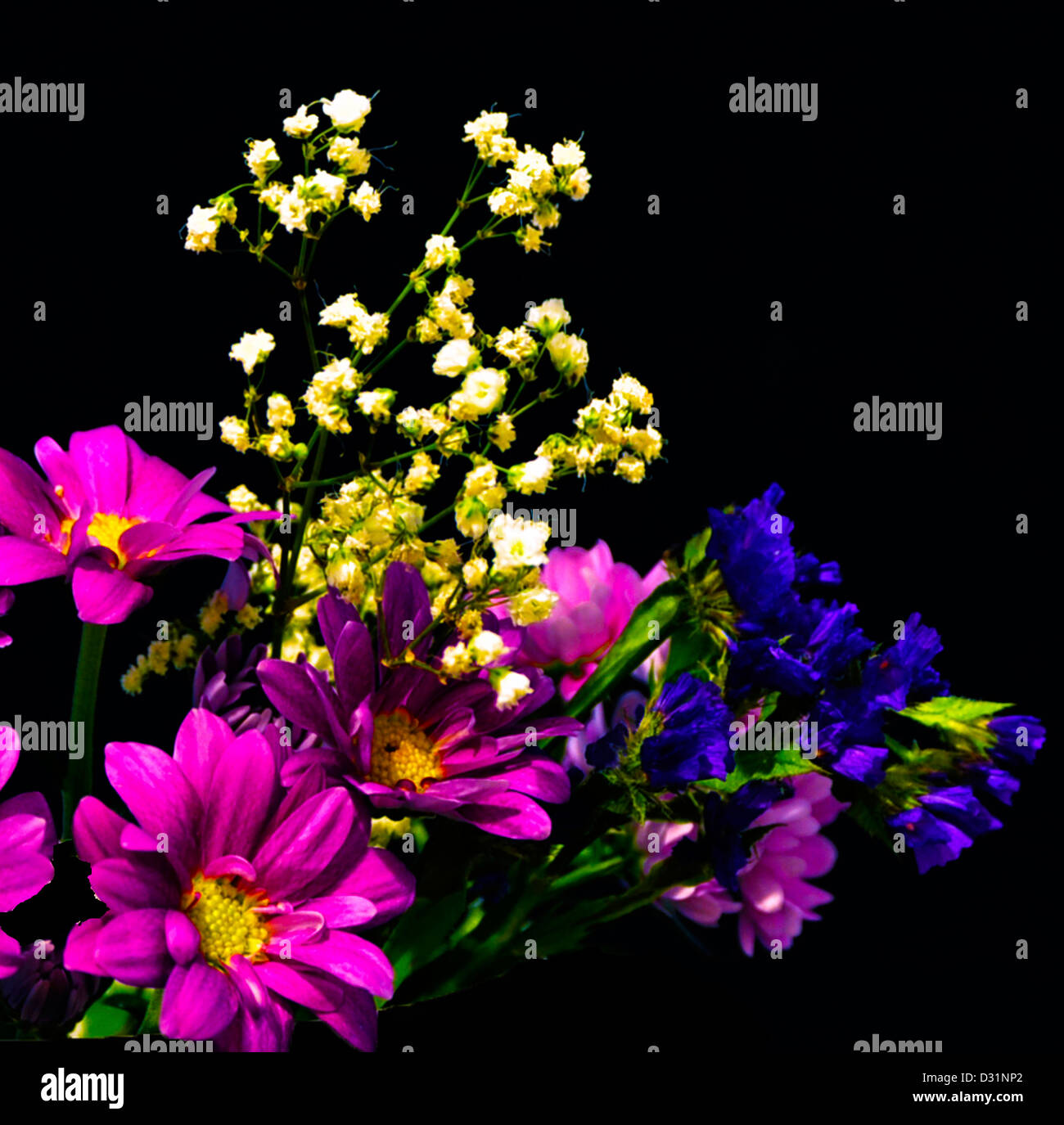 group of flowers Stock Photo - Alamy