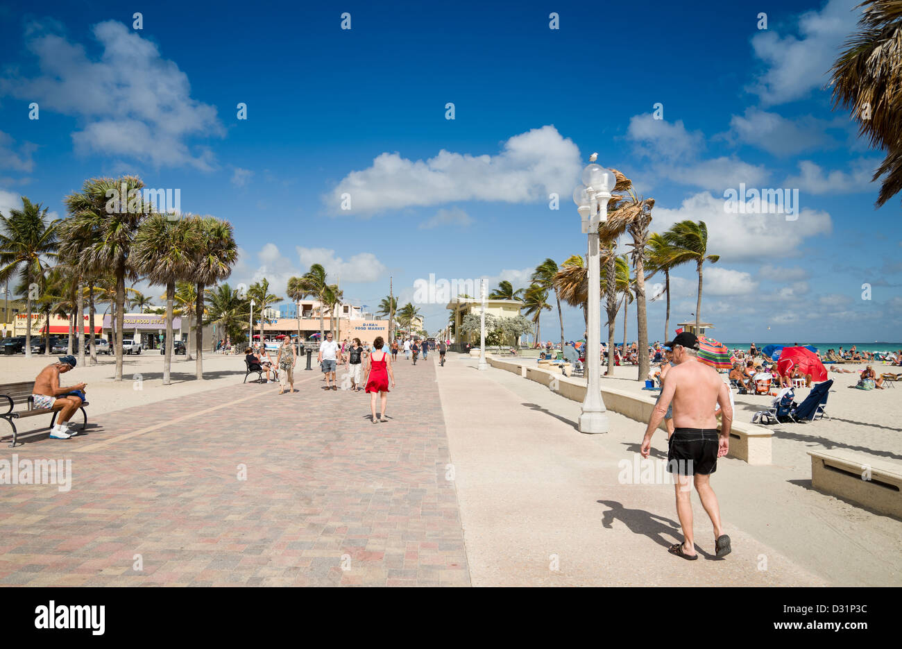 Hollywood beach florida palm tree hi-res stock photography and images ...