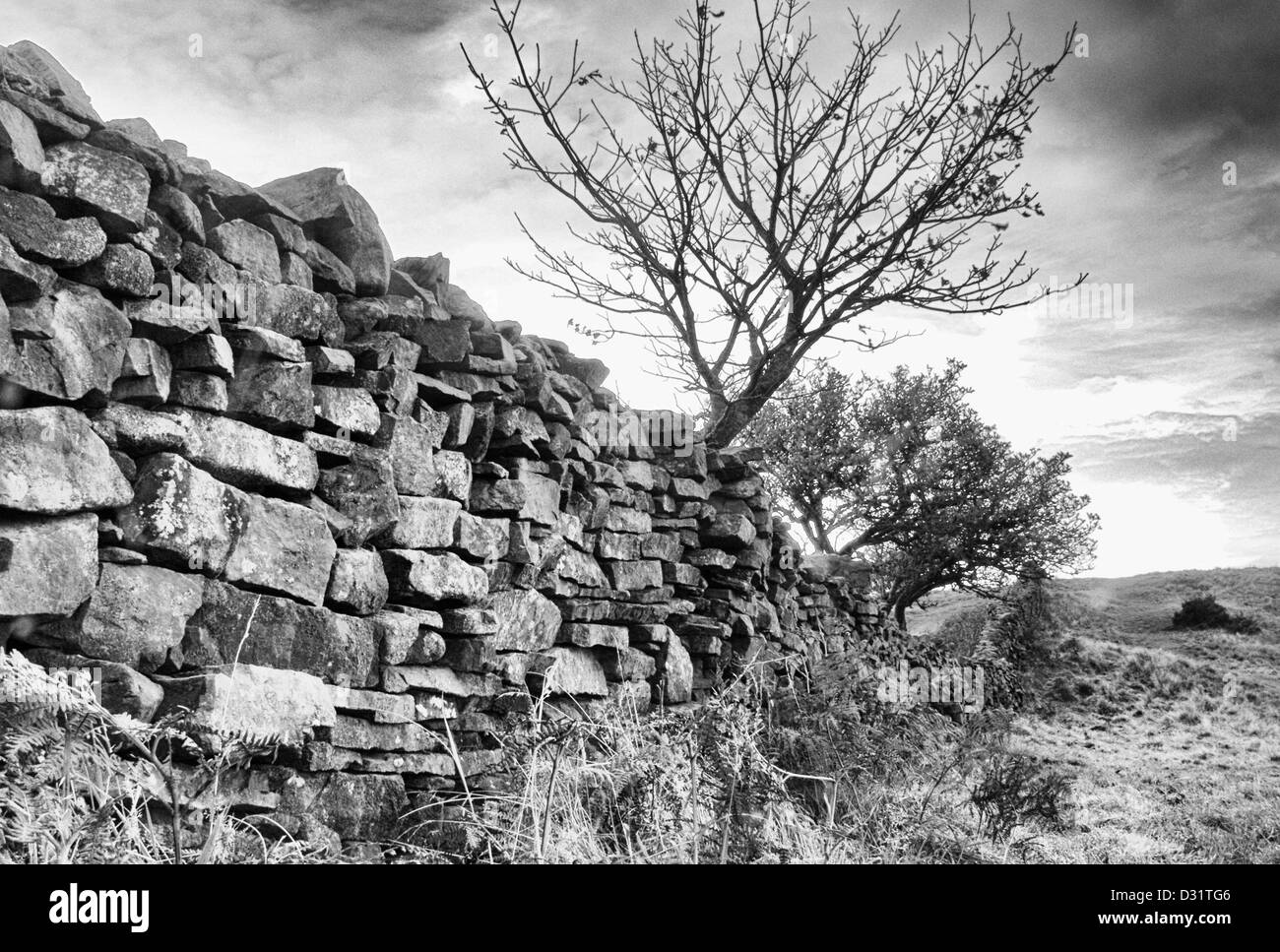Dry Stone Wall Stock Photo - Alamy