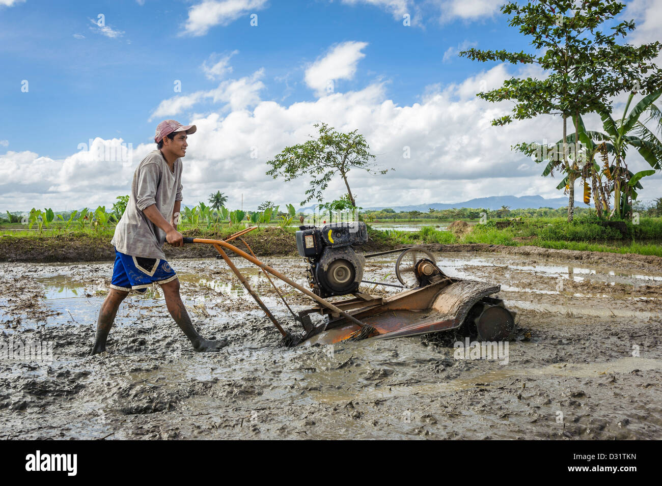 Man preparing the land to cultivate rice, Panay island, Philippines ...