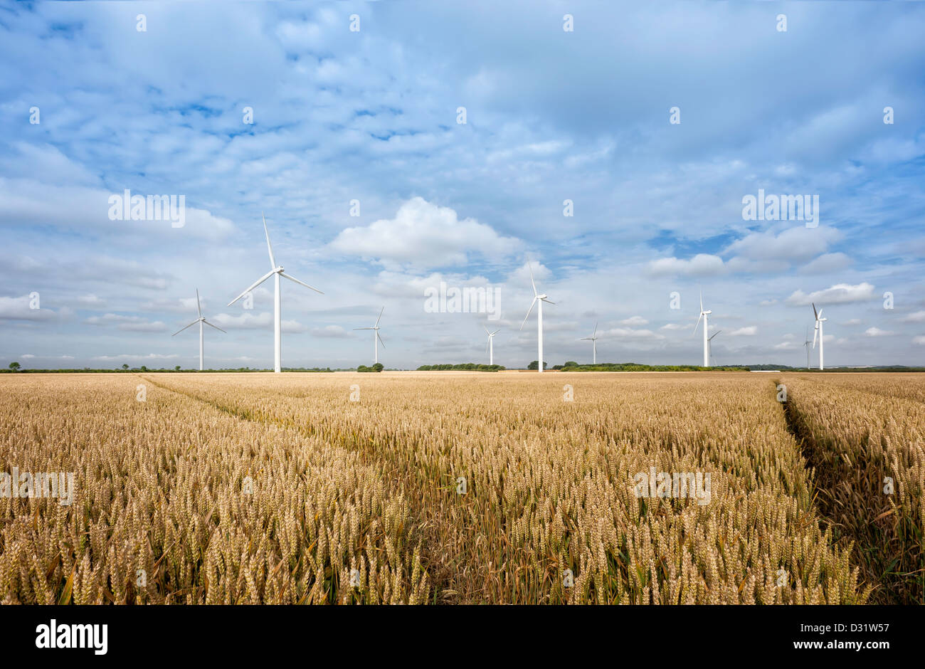 Wind turbines in a field of wheat near the market town of Beverley in ...