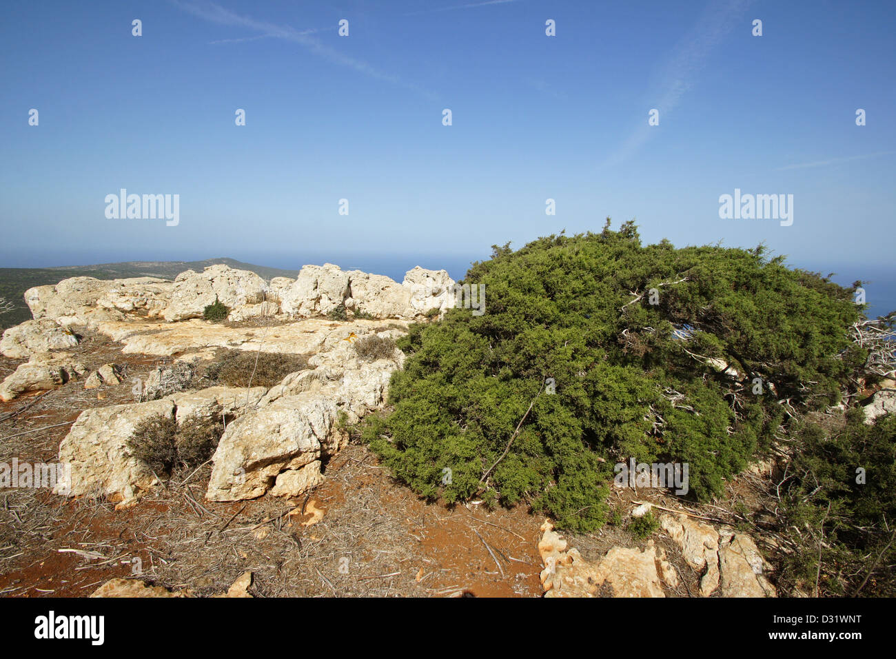 Akamas Peninsula, Cyprus, Europe Stock Photo - Alamy