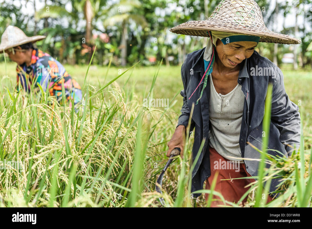 Filipino Farmers Attire