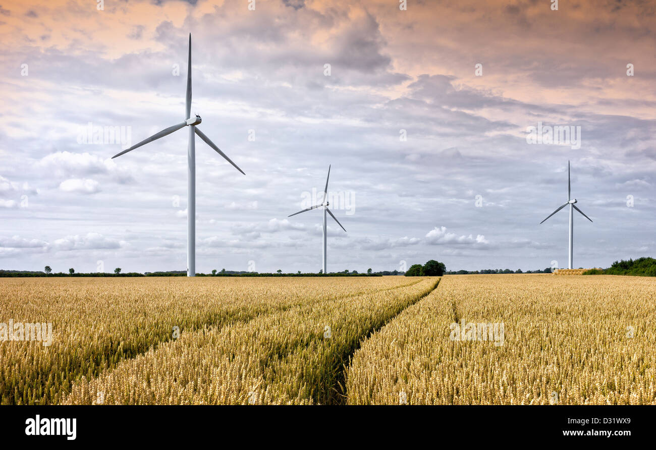 Wind turbines in a field of wheat near the market town of Beverley in ...