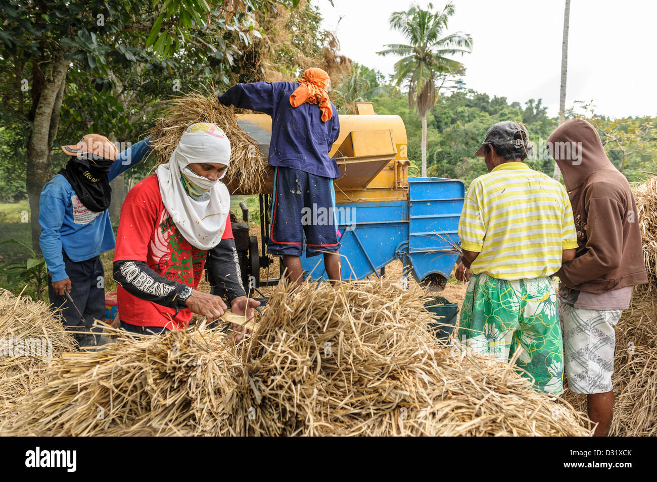 Rice threshing machine hi-res stock photography and images - Alamy
