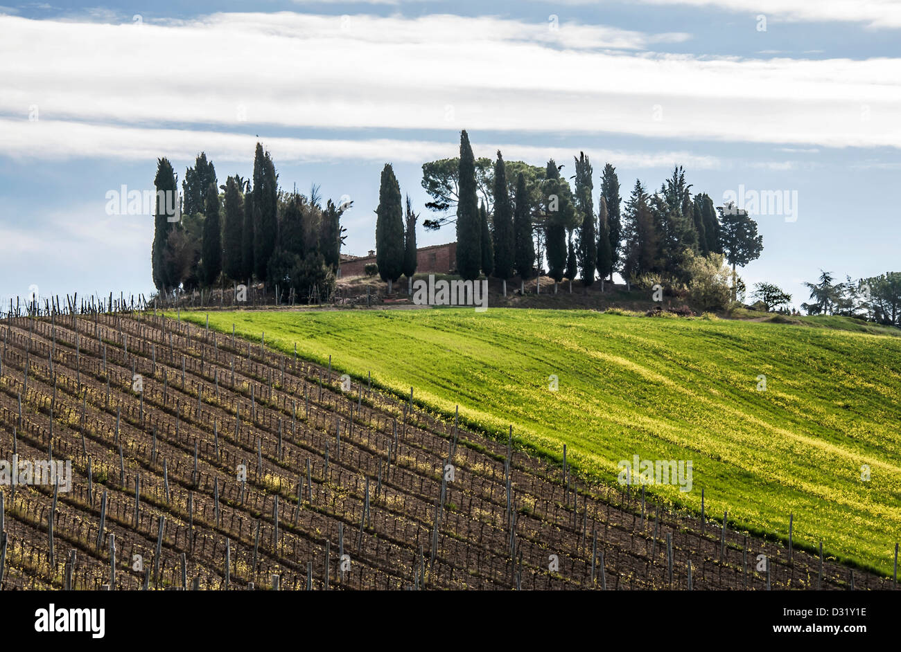 countryside in Chianti, Tuscany, Italy Stock Photo - Alamy