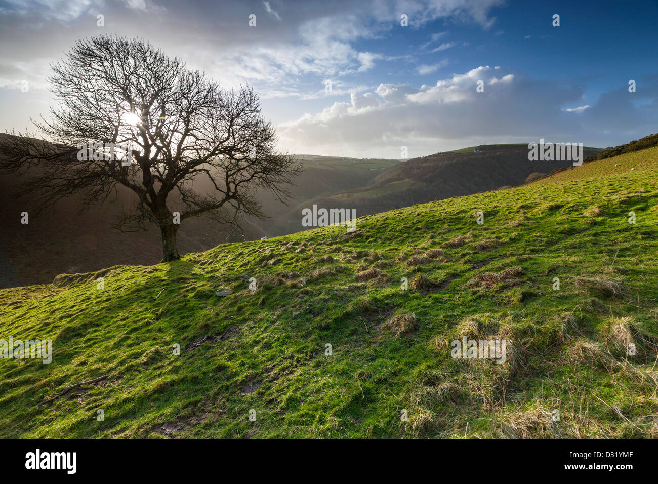 Landscape view over Exmoor in the Exmoor National Park near Lynmouth ...