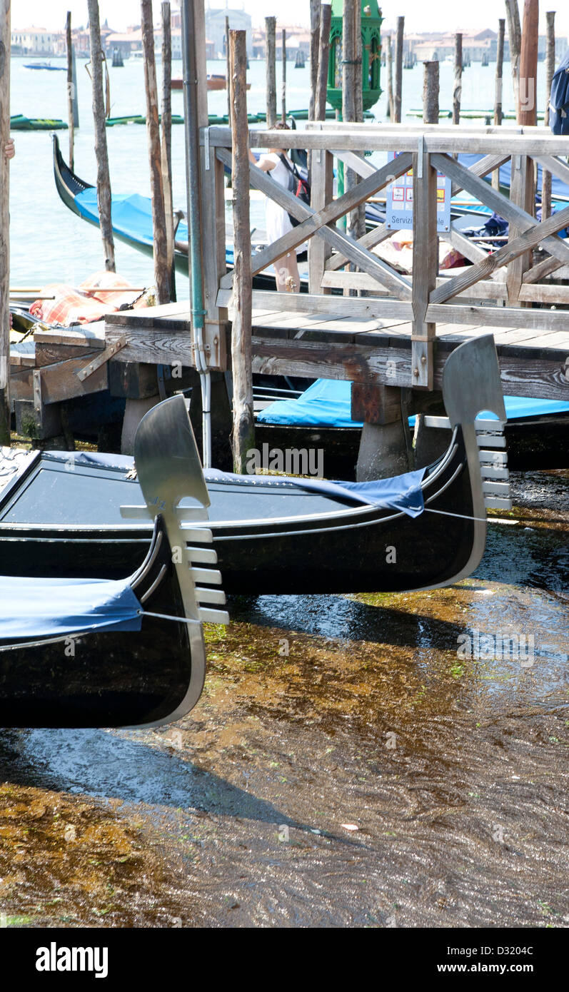 Color photograph of Venice, Italy Stock Photo - Alamy