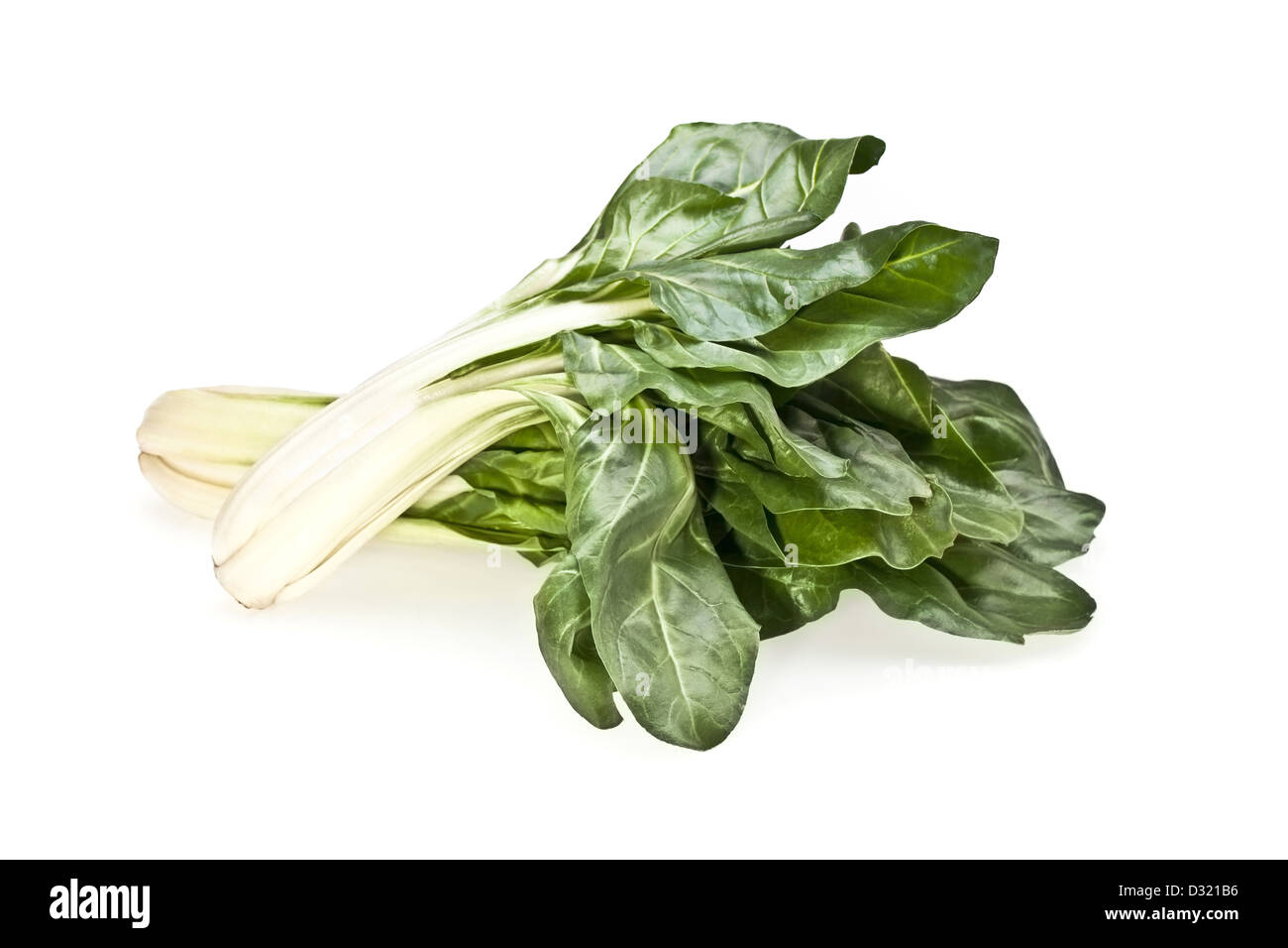 Collard white hi-res stock photography and images - Alamy