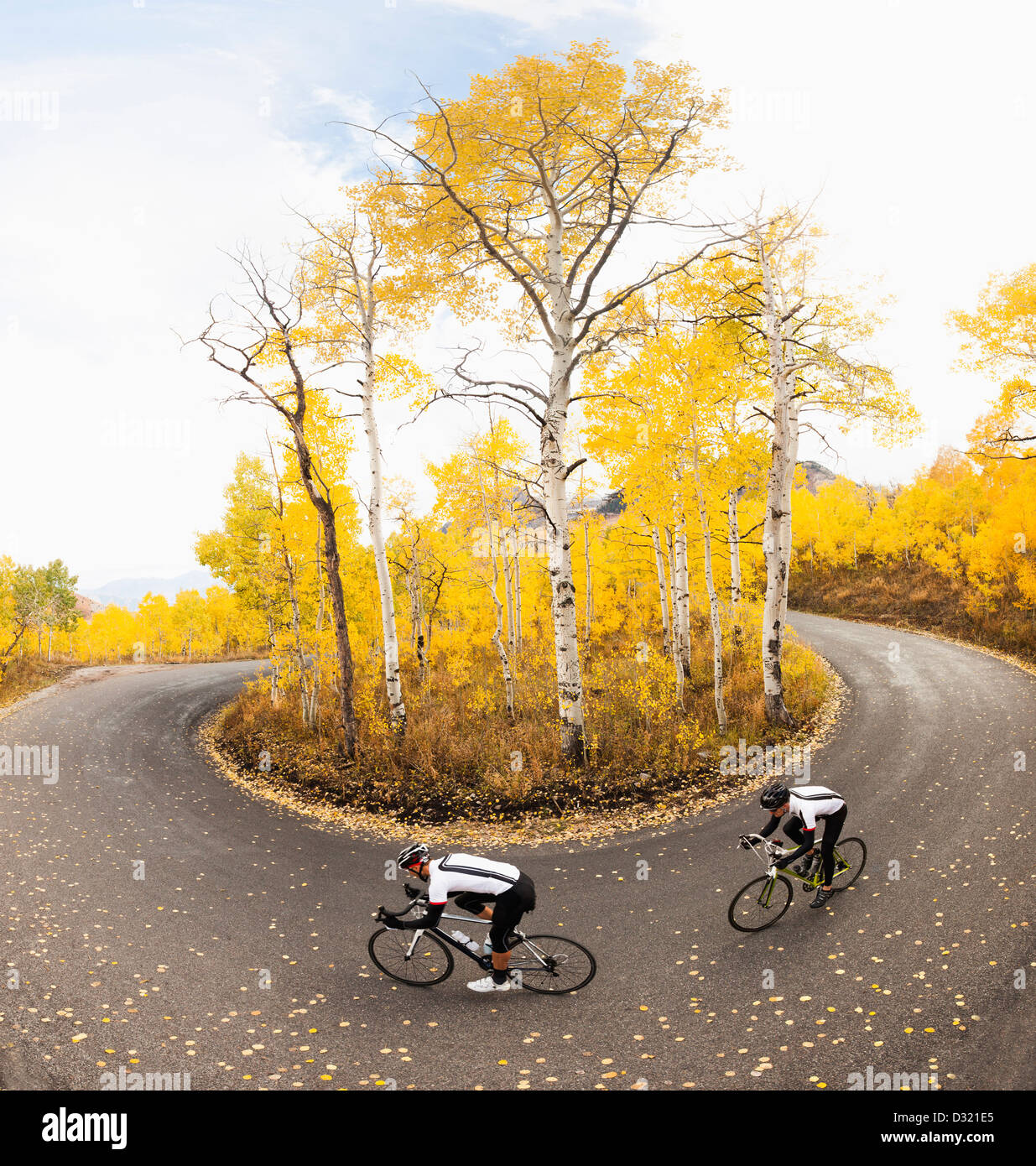 Cyclists in race on rural hi-res stock photography and images - Alamy