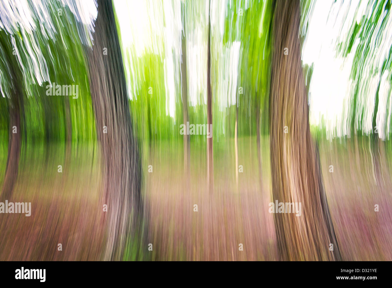 Motion blur abstract of spring trees Stock Photo - Alamy