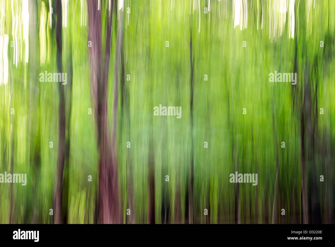 Motion blur abstract of spring trees Stock Photo - Alamy