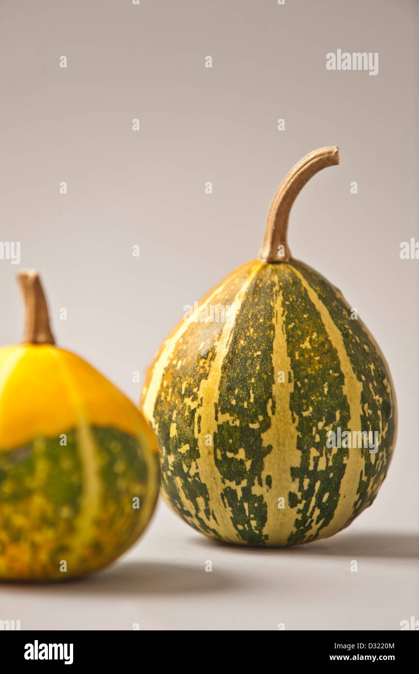 Yellow gourd hi-res stock photography and images - Alamy