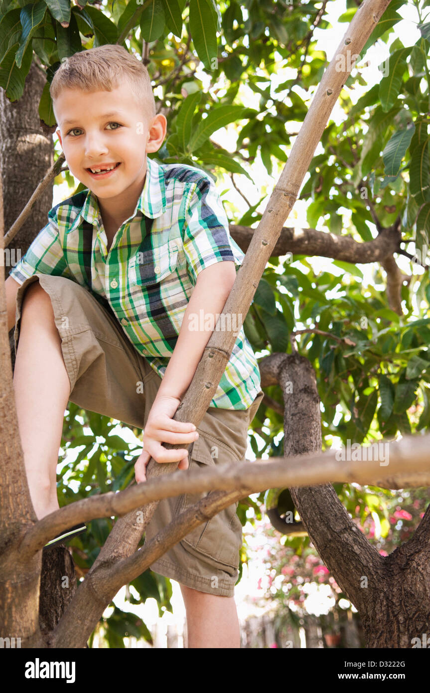 Caucasian boy climbing tree Stock Photo - Alamy