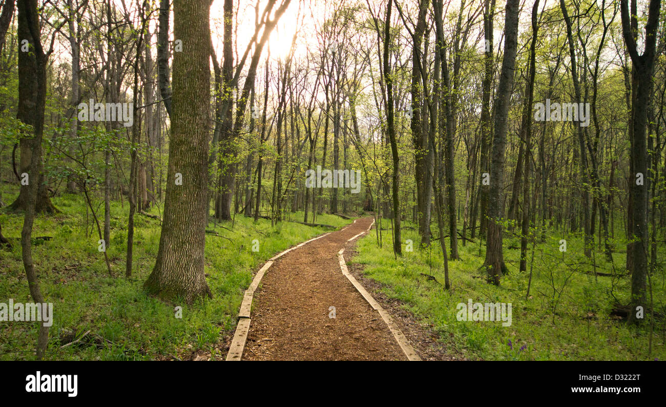 Beautiful scenic path leads through hi-res stock photography and images ...