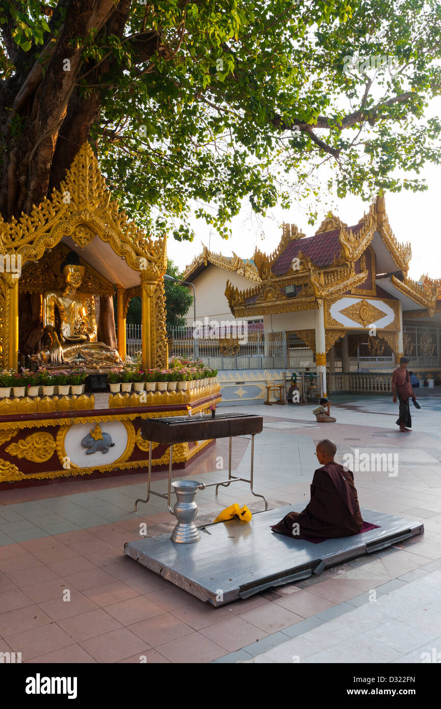 A Burmese Buddhist monk sits in meditation before a statue of Buddha ...