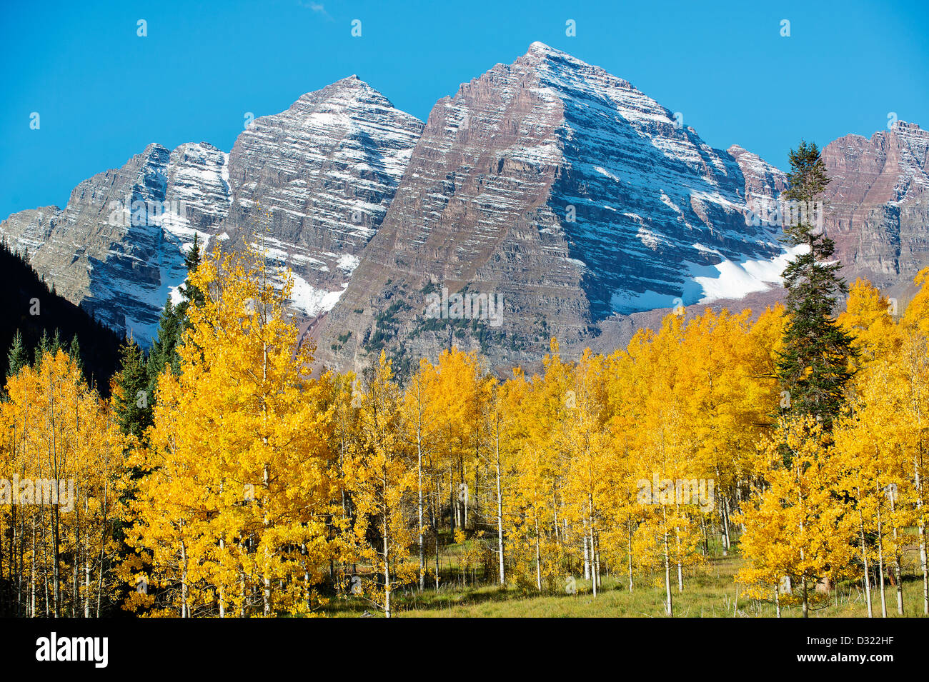 Snowy mountains and yellow trees Stock Photo - Alamy