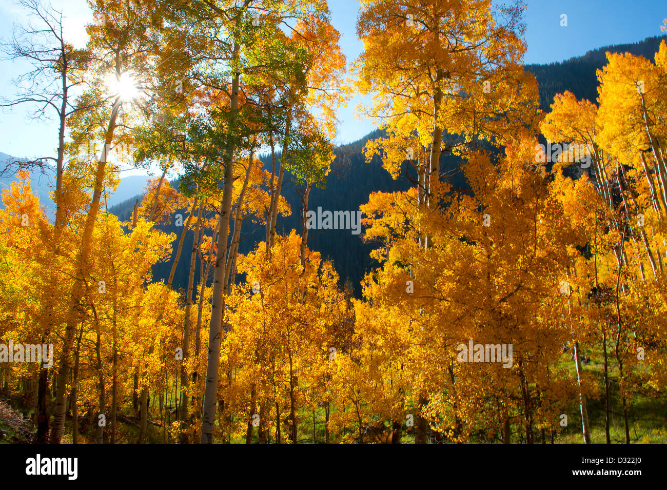 Horizontal landscape yellow hi-res stock photography and images - Alamy