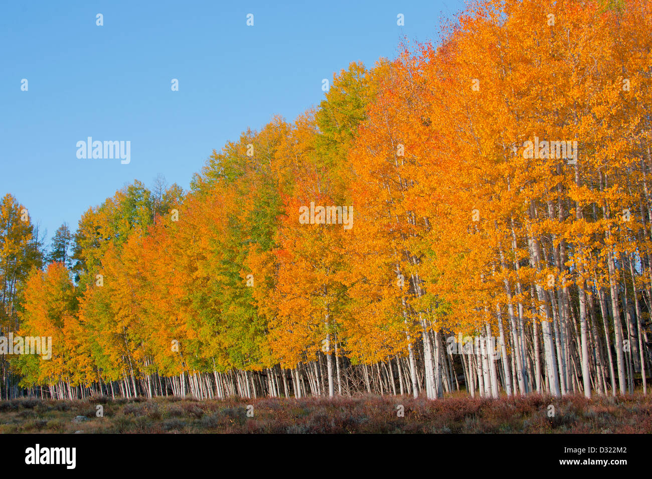 Landscape transformation hi-res stock photography and images - Alamy