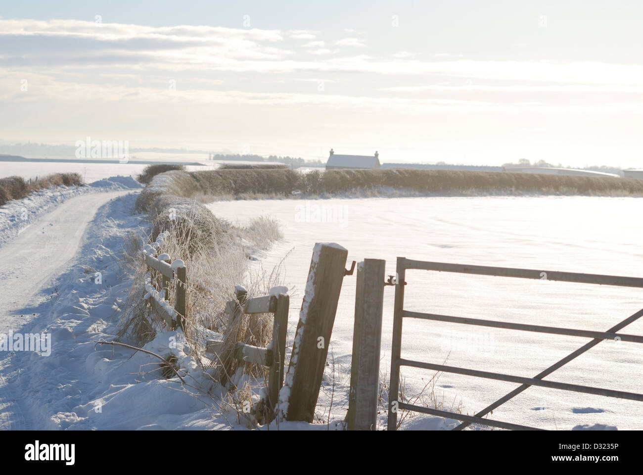 A snow covered rural country road leading to farm with field gate hedge ...