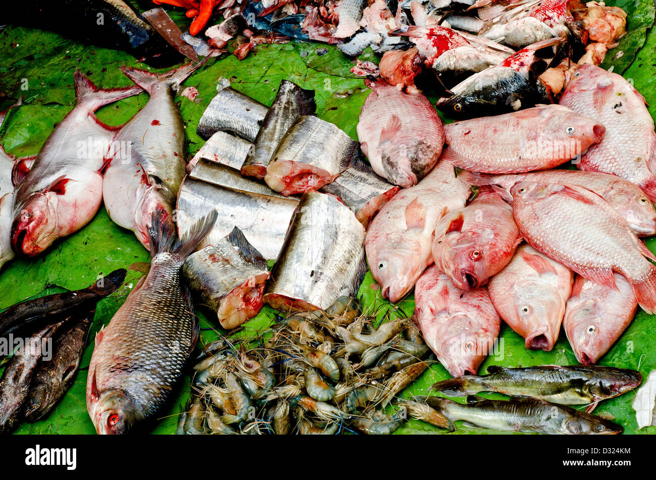 Cambodia Fish High Resolution Stock Photography and Images - Alamy