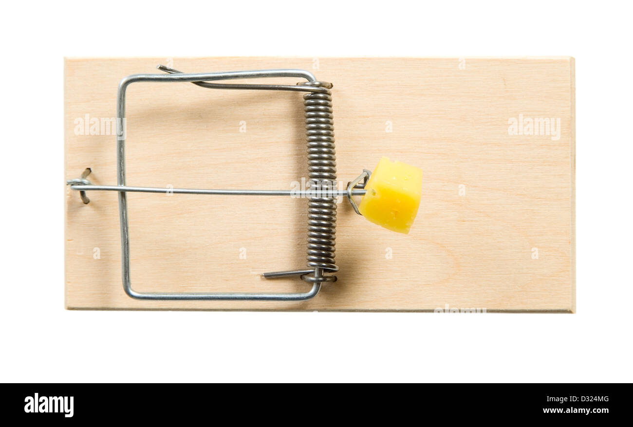 A mouse trap with cheese on it Stock Photo - Alamy