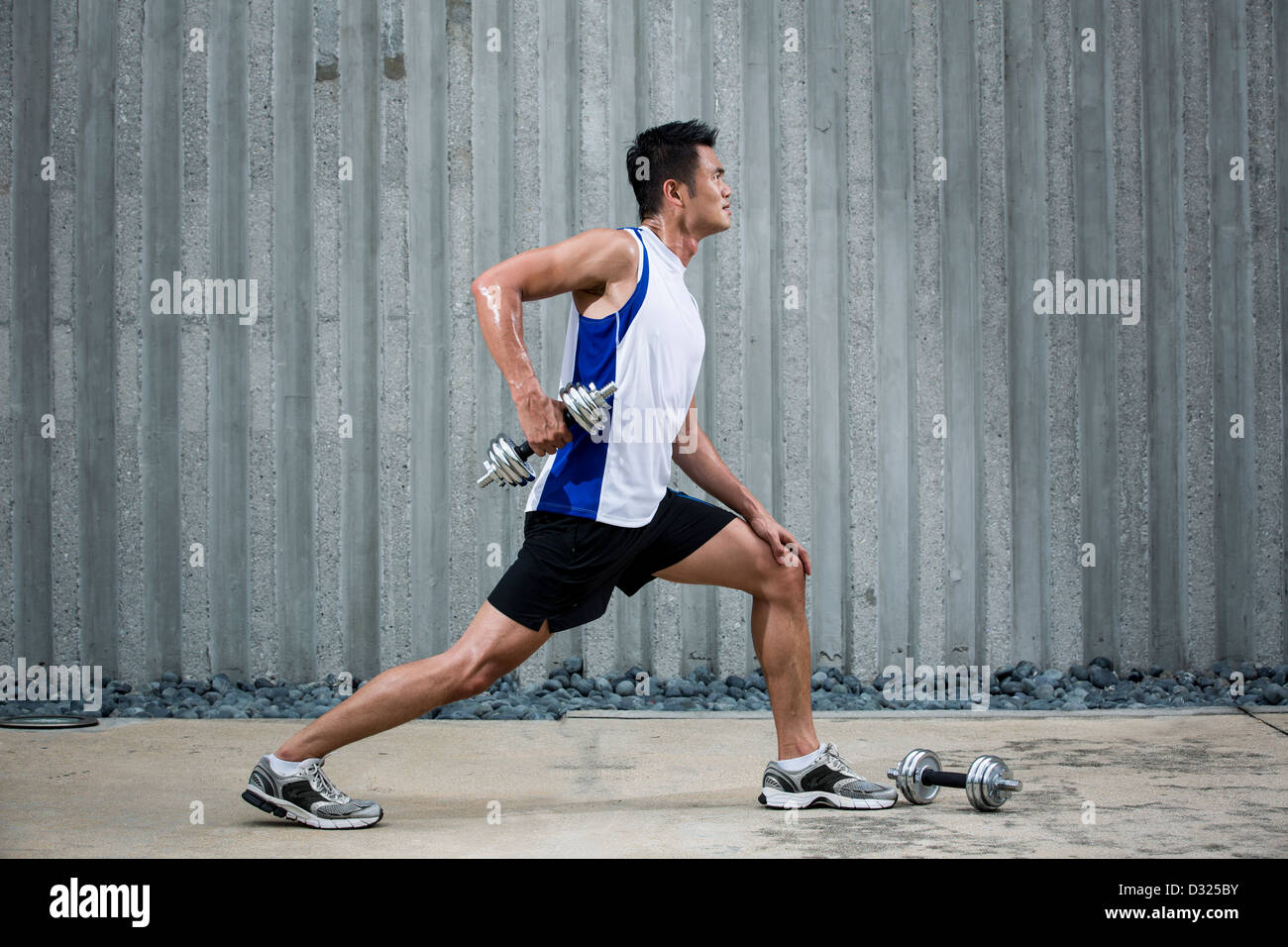 Athletic Young Chinese man exercising with dumbbells. Muscular Asian ...