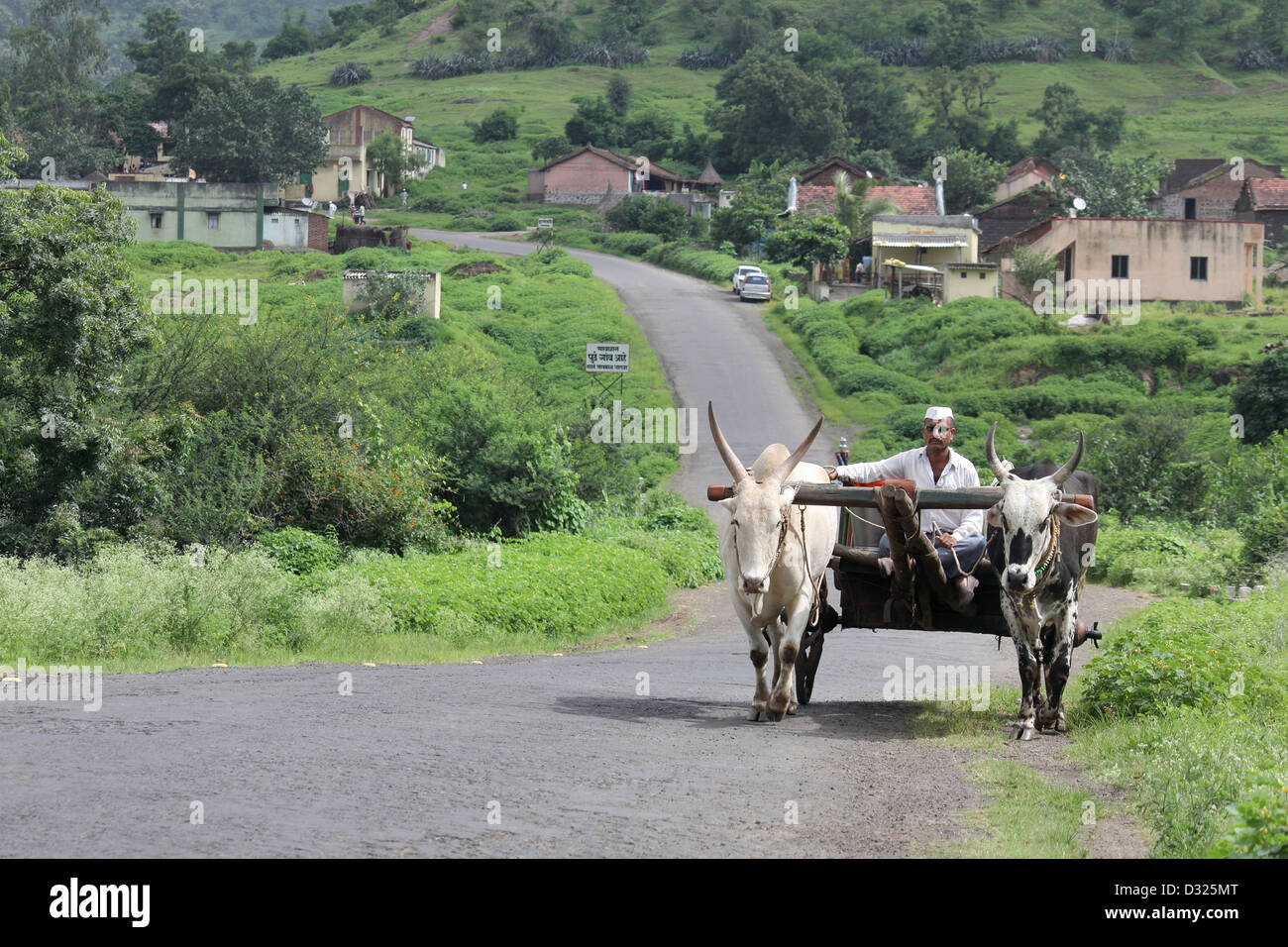 Indian Bullock cart on village road Stock Photo - Alamy