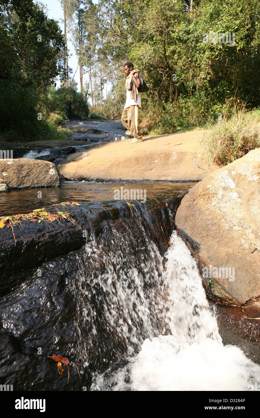 wide stream running over rocks in forest Stock Photo - Alamy