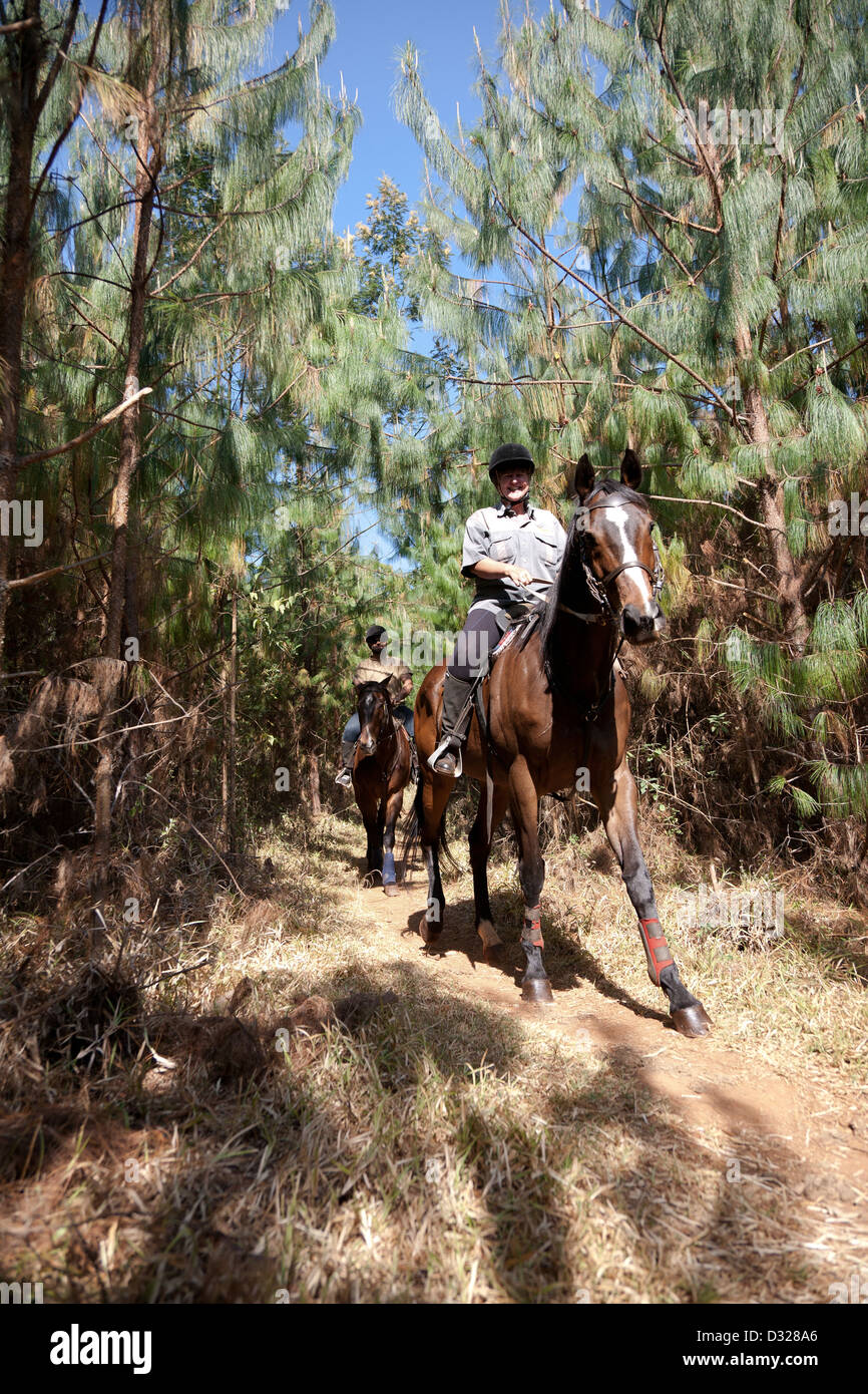 Two people on horsback riding through bushy path Stock Photo - Alamy