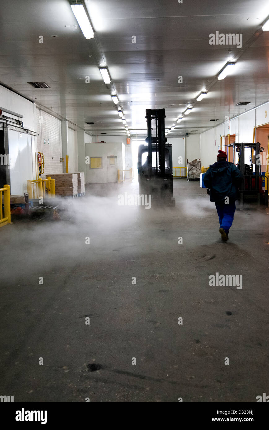 Frozen food production line workers hi-res stock photography and images ...