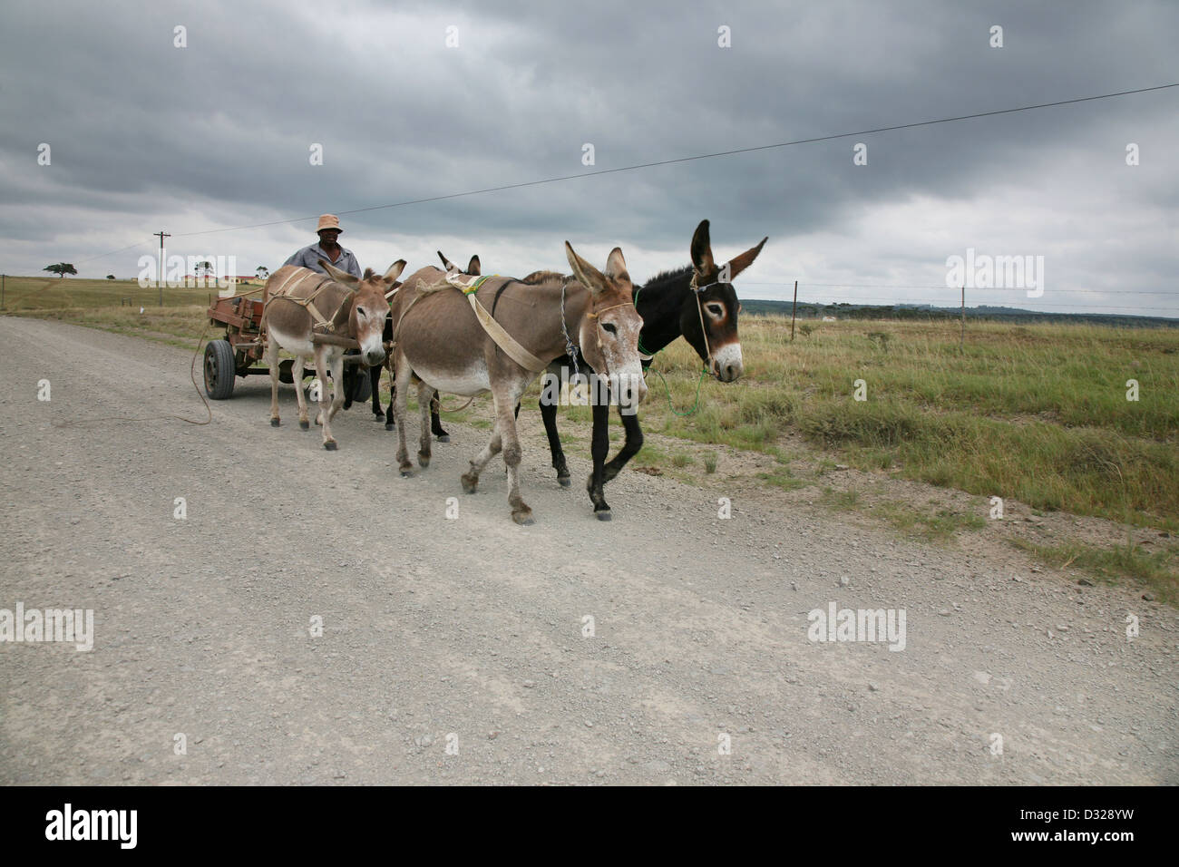 African man with donkey cart Stock Photo - Alamy