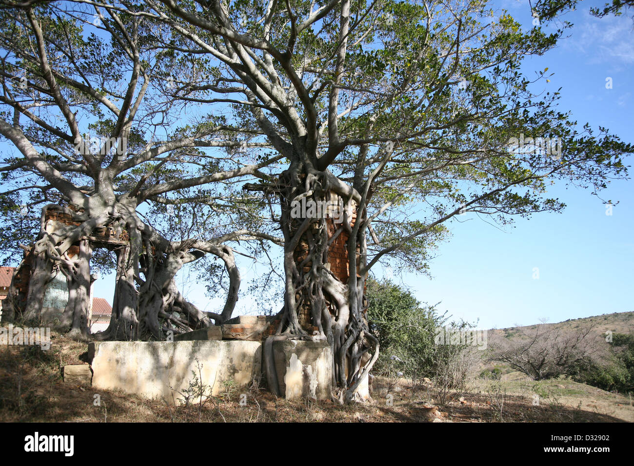 Hetherington building hi-res stock photography and images - Alamy