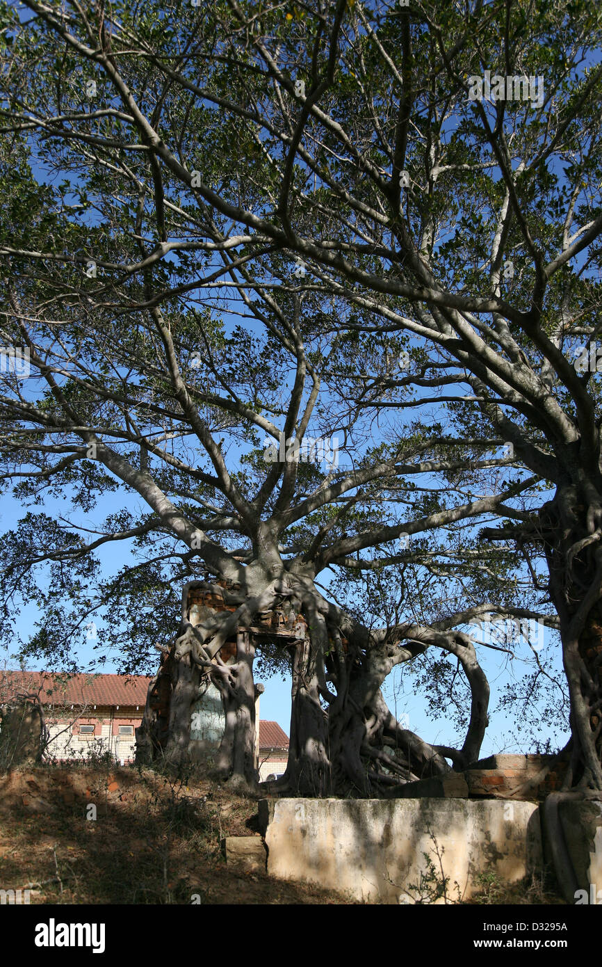 Hetherington building hi-res stock photography and images - Alamy