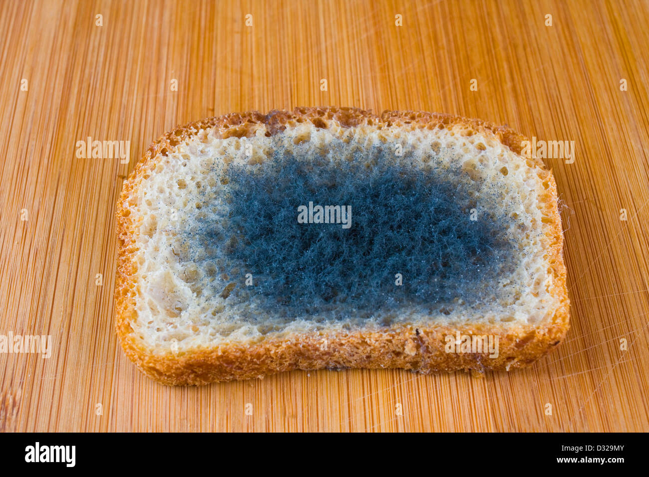 moldy bread on a chopping board Stock Photo - Alamy