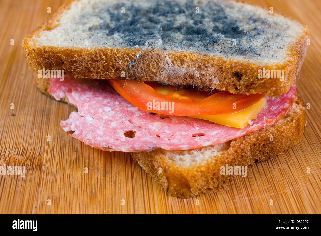 Moldy sandwich hi-res stock photography and images - Alamy