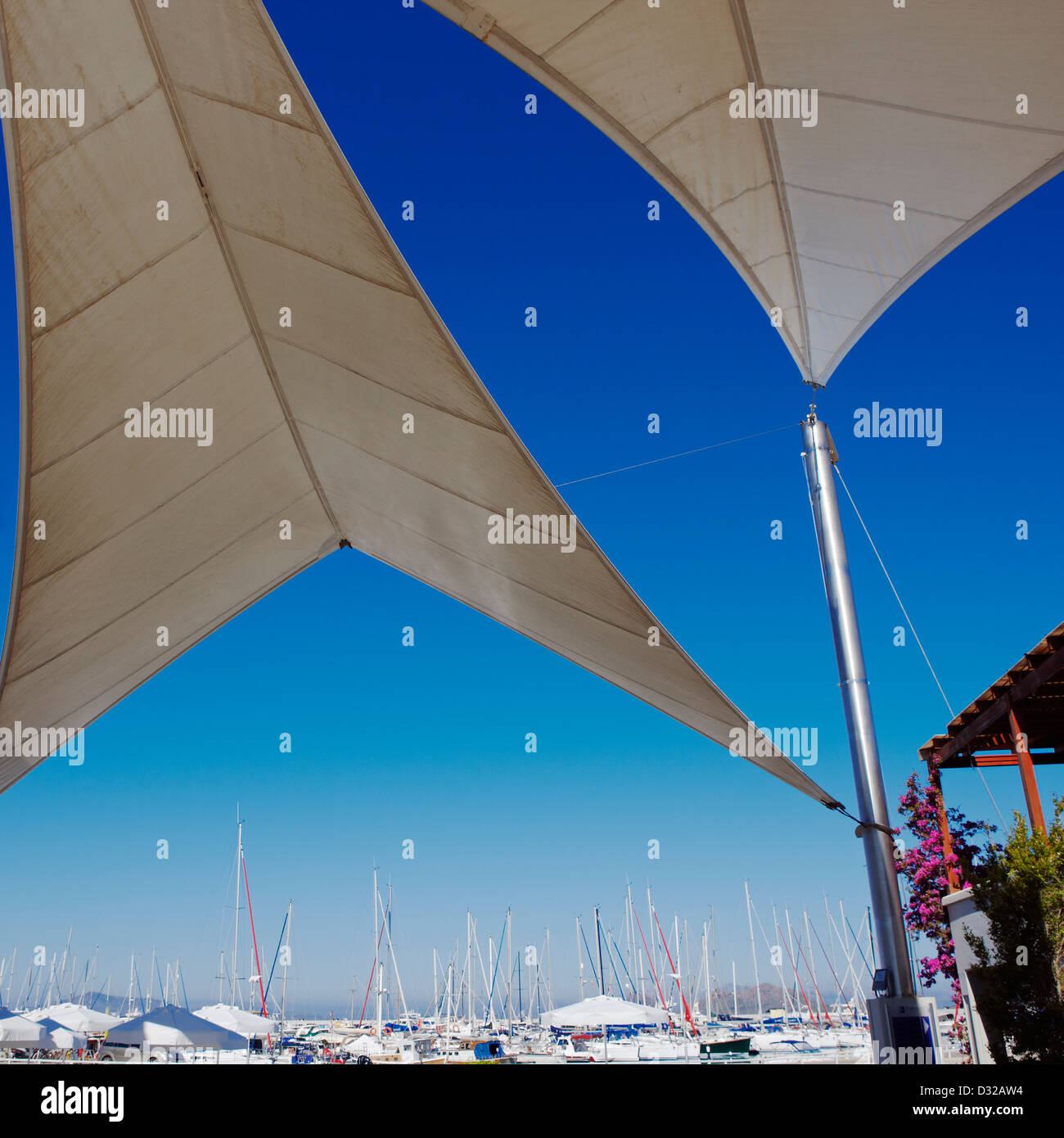 Canopy white hi-res stock photography and images - Alamy