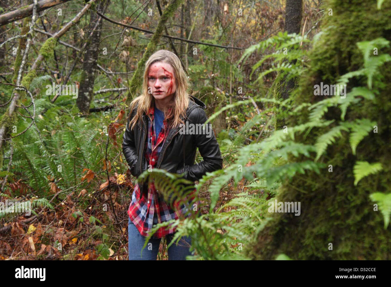 Horror movie forest hi-res stock photography and images - Alamy