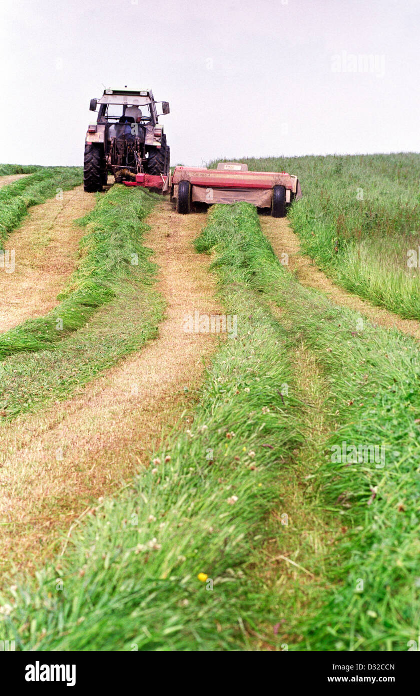 Tractor cutting grass in field for silage, Clun, Shropshire, England ...