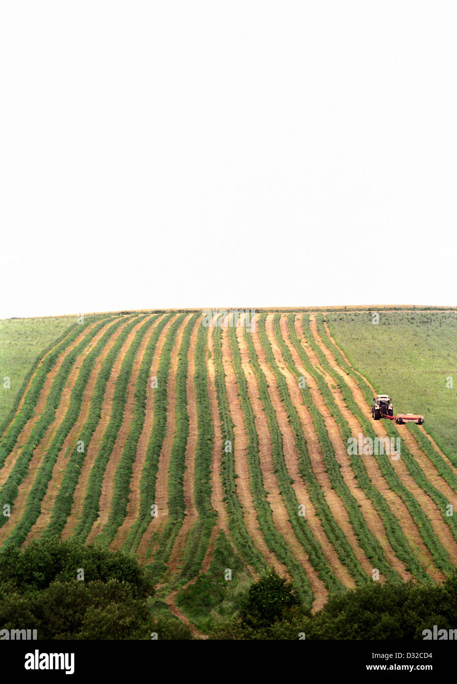 Tractor cutting grass hi-res stock photography and images - Alamy
