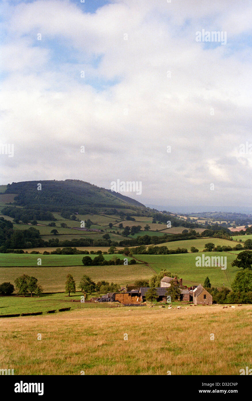 Rural scene with fields and farm buildings, Mid Wales Stock Photo - Alamy