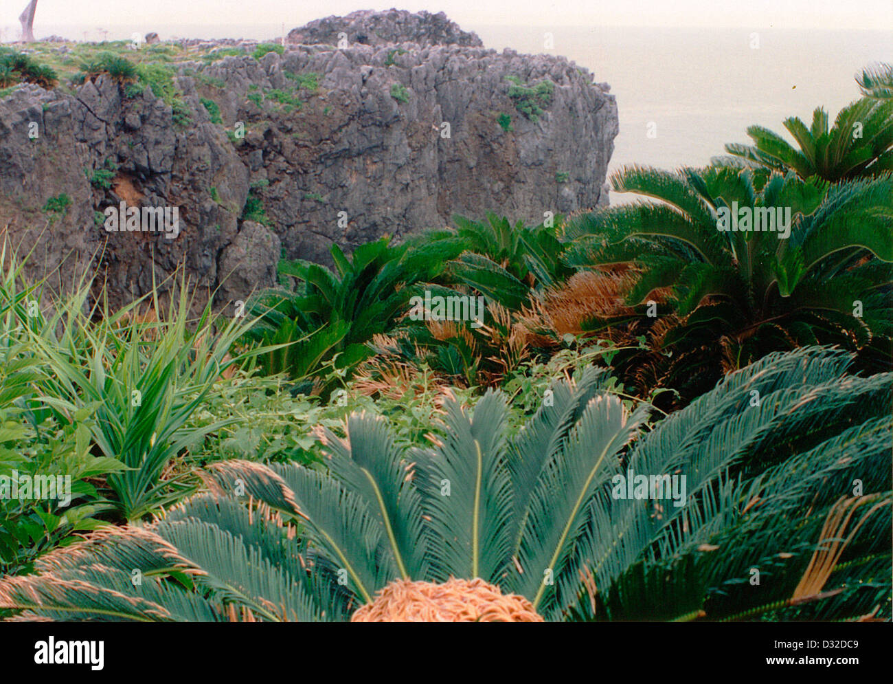 The northern tip of Okinawa Island features dramatic cliffs overlooking ...