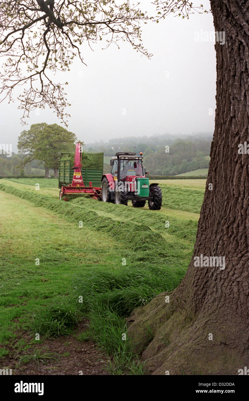 Talsarn hi-res stock photography and images - Alamy