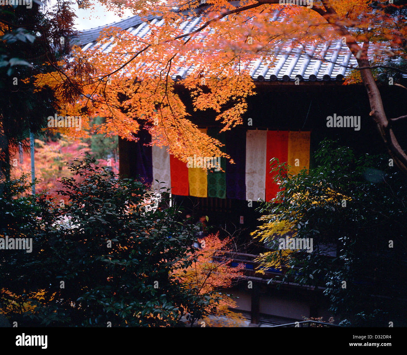 Eikando, a Buddhist temple in Kyoto, Japan, is renowned for its ...