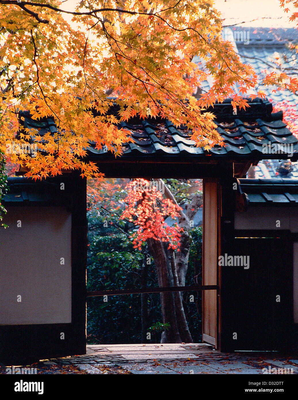Eikando is a Buddhist temple in Kyoto, Japan, known for its stunning ...