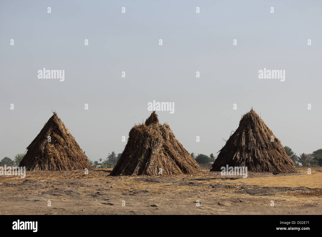 Haystacks for food storage Stock Photo - Alamy
