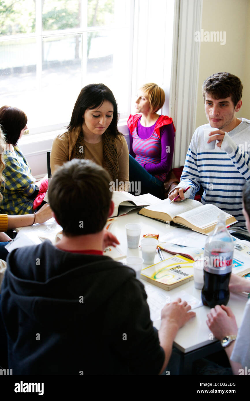 Young adults studying and having discussions and chatting Stock Photo ...